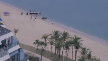 Uma praia com palmeiras e um edifício com varandas.