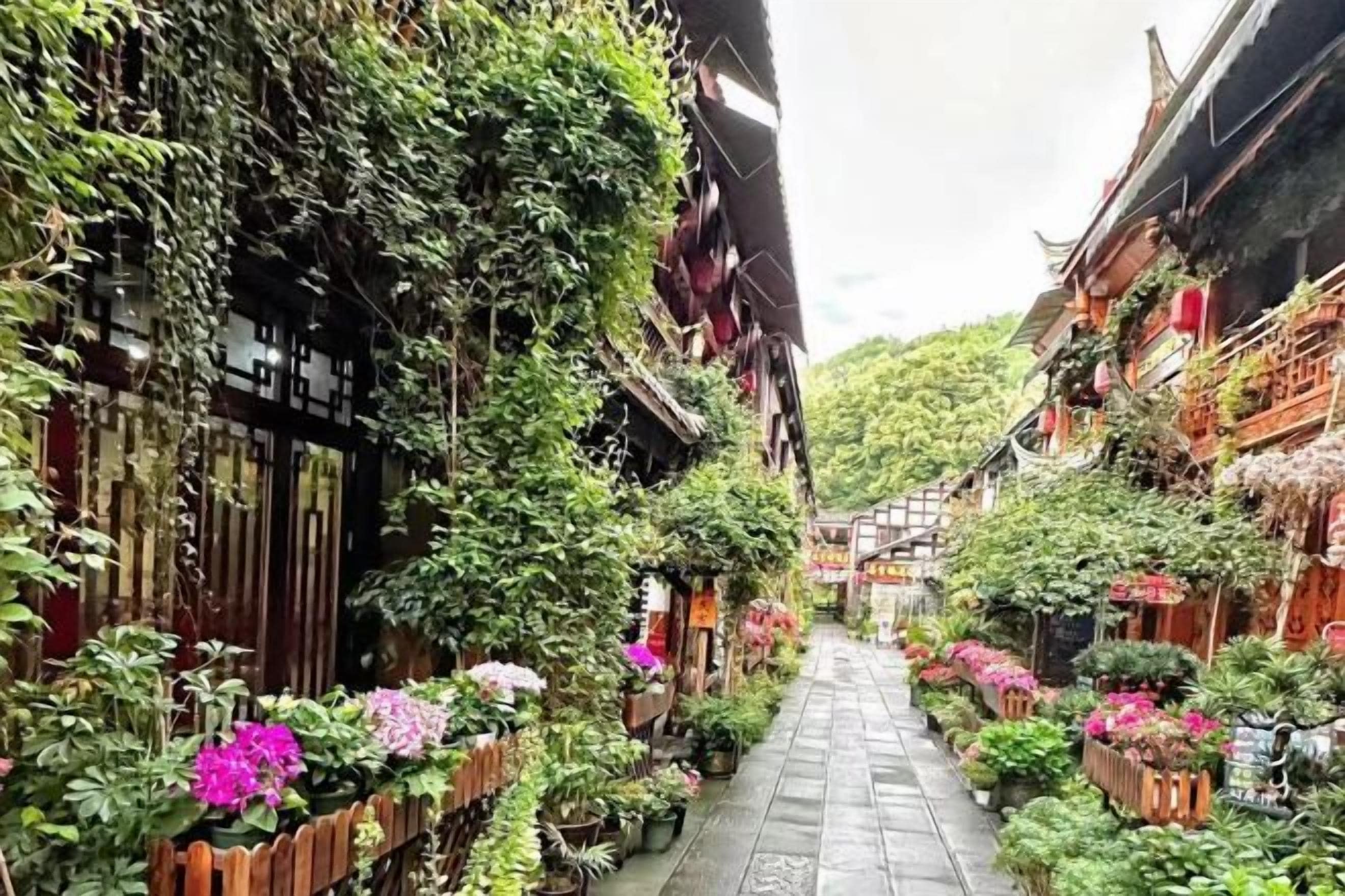 Uma passagem estreita com edifícios tradicionais em ambos os lados, repleta de vasos com plantas e flores.