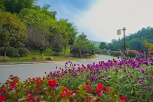 Uma estrada sinuosa serpenteando por uma área ajardinada, com árvores e flores.