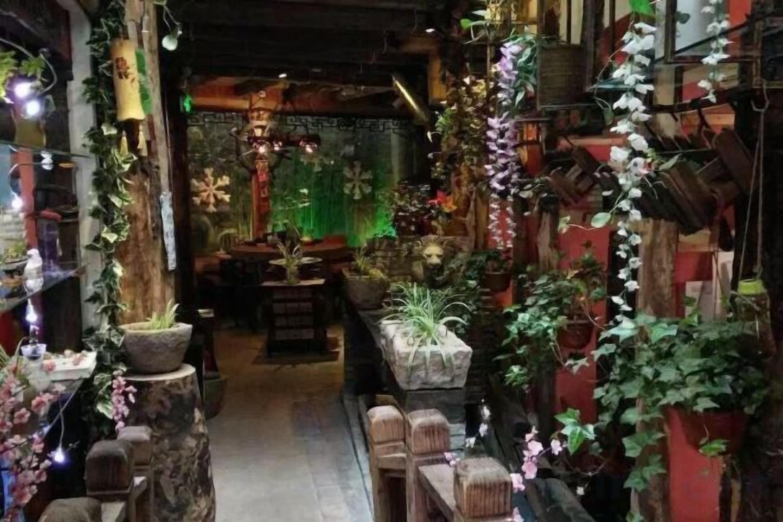 Um espaço interno aconchegante com plantas em vasos e móveis de madeira.