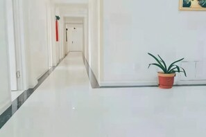 Um corredor limpo e bem iluminado com uma planta em vaso à direita.