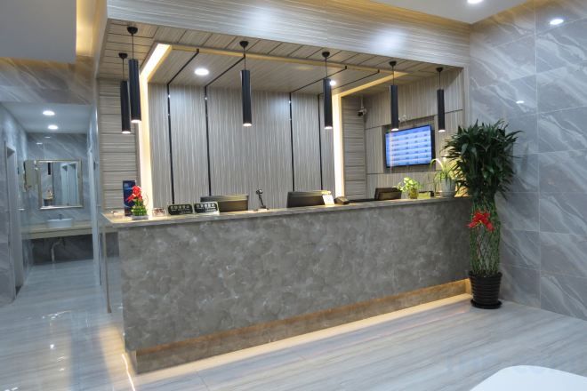 Uma área de recepção com balcão de mármore, iluminação pendente, televisão e um vaso de planta.