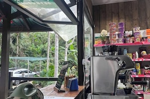 Interior de cafeteria com máquina de café, prateleiras com diversos objetos e vista para o verde lá fora.