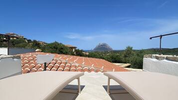 Terraço/pátio interior