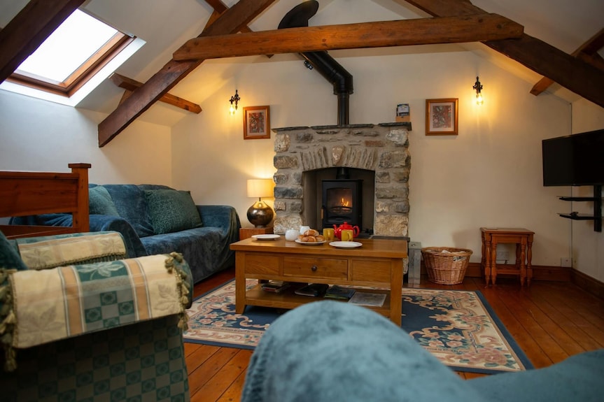 Ty Moch Bach, Fishguard - Fishguard