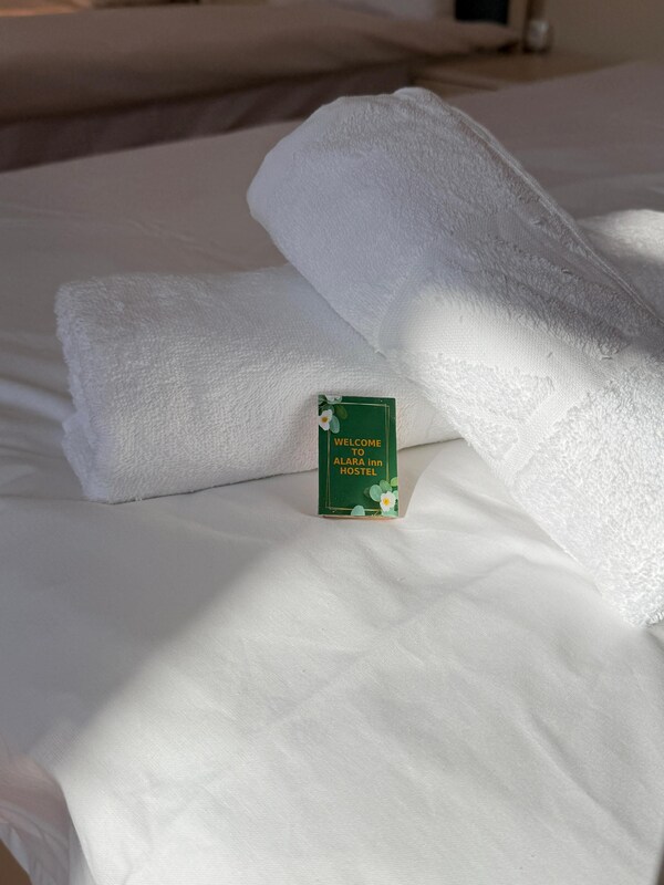 Alara Inn Hostel & Hotel Baku - Baku