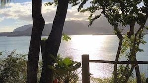 Uma área pavimentada com grade, árvores e vista para um corpo d'água com montanhas ao longe.