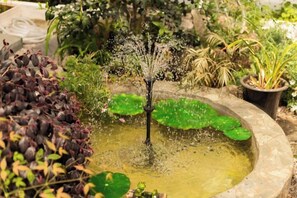 Um jardim com uma fonte, um lago com nenúfares e diversas plantas.