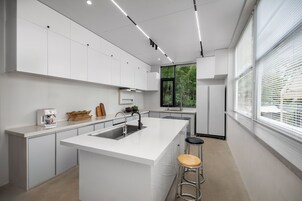 Um forno, uma placa de cozinha, uma panela elétrica de arroz 