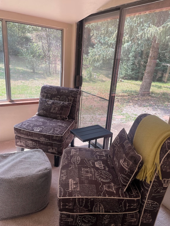 Cozy Cabin With Creek In Cascade-chipita Park - Manitou Springs, CO