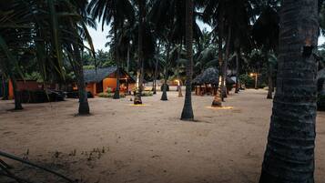Uma área arenosa com palmeiras e construções de palha, provavelmente parte de um resort.