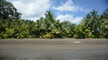 Na praia, areia preta, 2 bares na praia