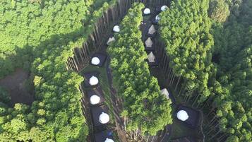 Vista aérea de uma área arborizada com várias estruturas em forma de cúpula dispostas em padrão semicircular.