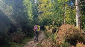 Uma pessoa caminhando por uma trilha estreita e rochosa, rodeada por uma floresta densa.