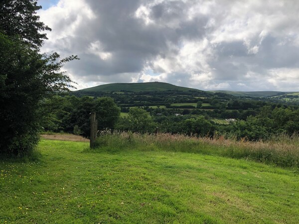 Monument Field South Brent - Dartmoor Forest
