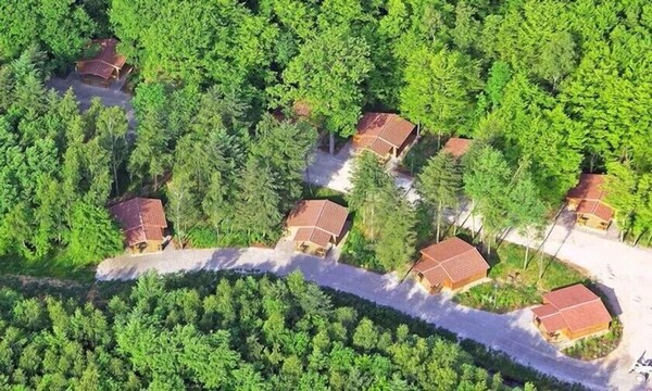 Les Chalets Amnéville - Zoo d'Amnéville
