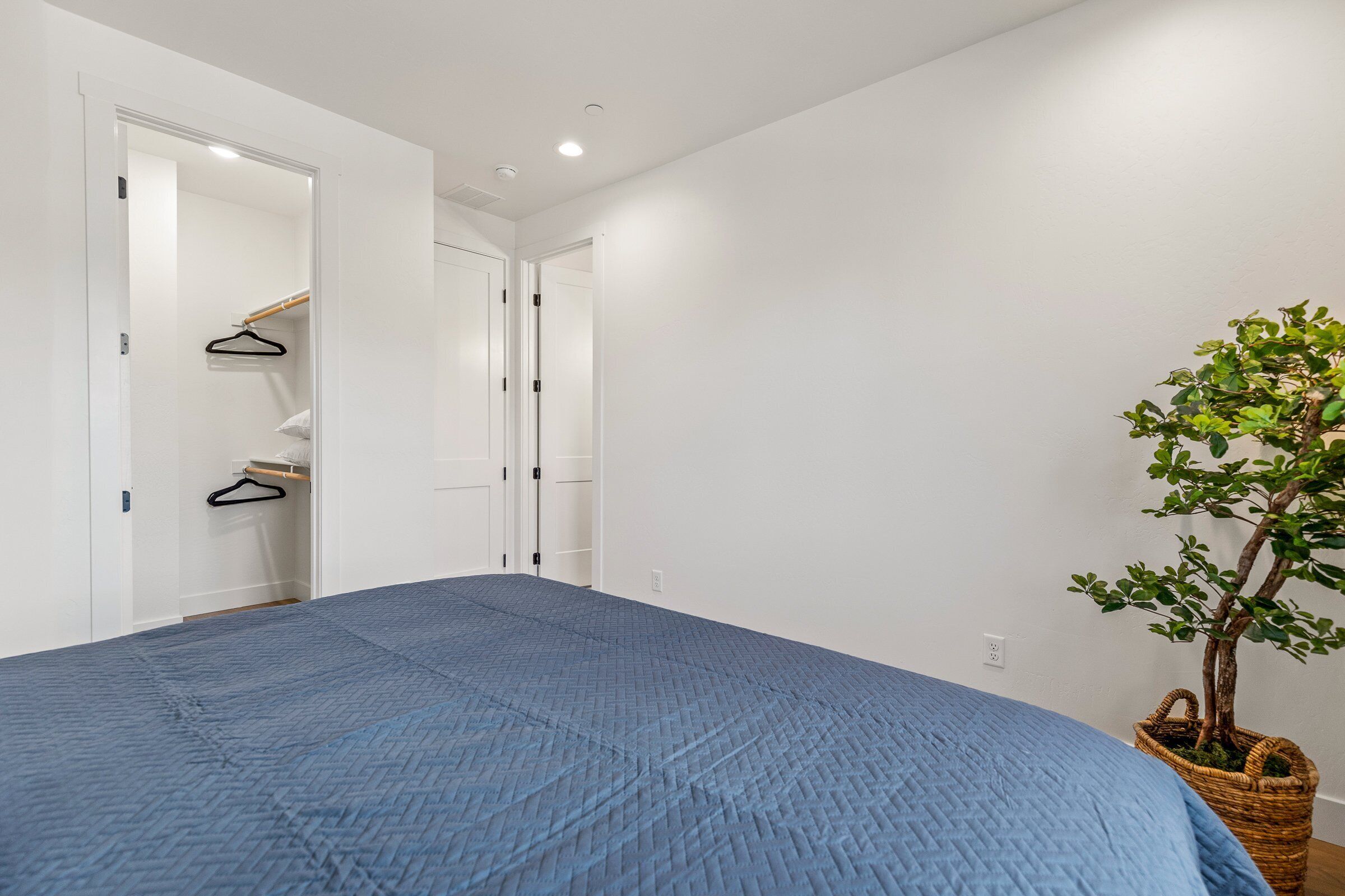Um quarto com uma cama grande, paredes brancas e um pequeno vaso de planta.
