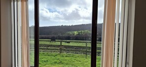 Casa de Campo | Interior