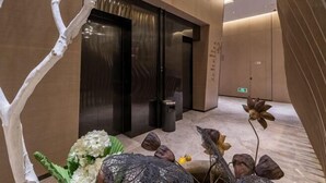 Um hall de hotel moderno, com uma mesa de recepção, uma escadaria e uma composição de plantas decorativas.