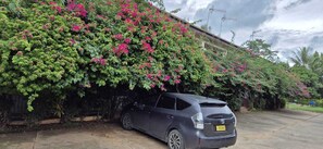 Estacionamento grátis 