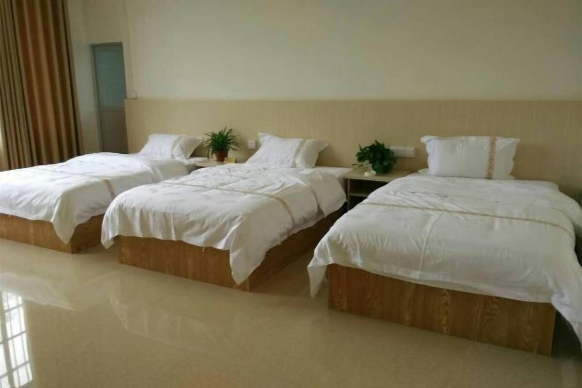 Quarto de hotel com três camas, cabeceira de madeira, mesa de cabeceira com uma planta e uma janela grande.
