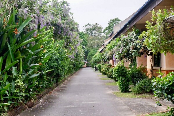 Chalet De Palm Resort Hatyai - Hat Yai