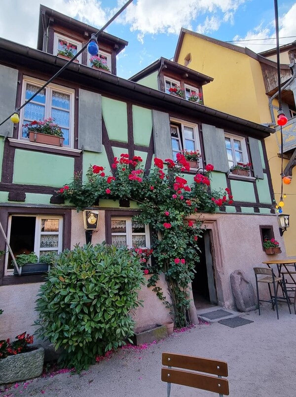 Maison Gambrinus - Alsace