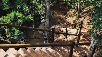 Passeios para observação de animais