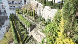 Um jardim em terraços com degraus de pedra e diversas plantas.