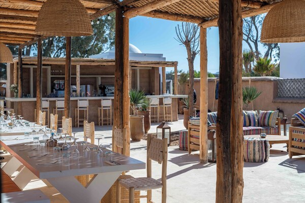 La Mouette Et Les Dromadaires - Sidi Kaouki