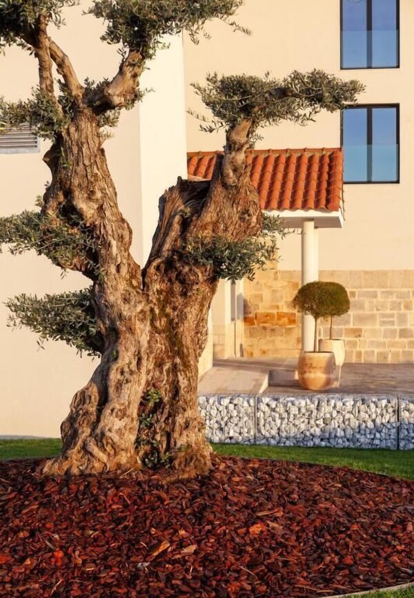 Finca La Desa - Miajadas