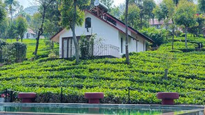 Um edifício com telhado inclinado, cercado por arbustos de chá verde exuberantes.