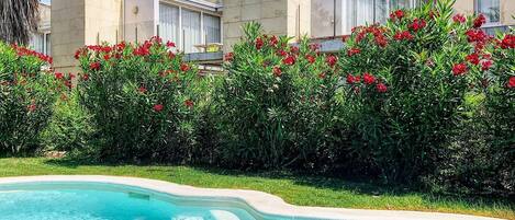 Apartamento | Piscina