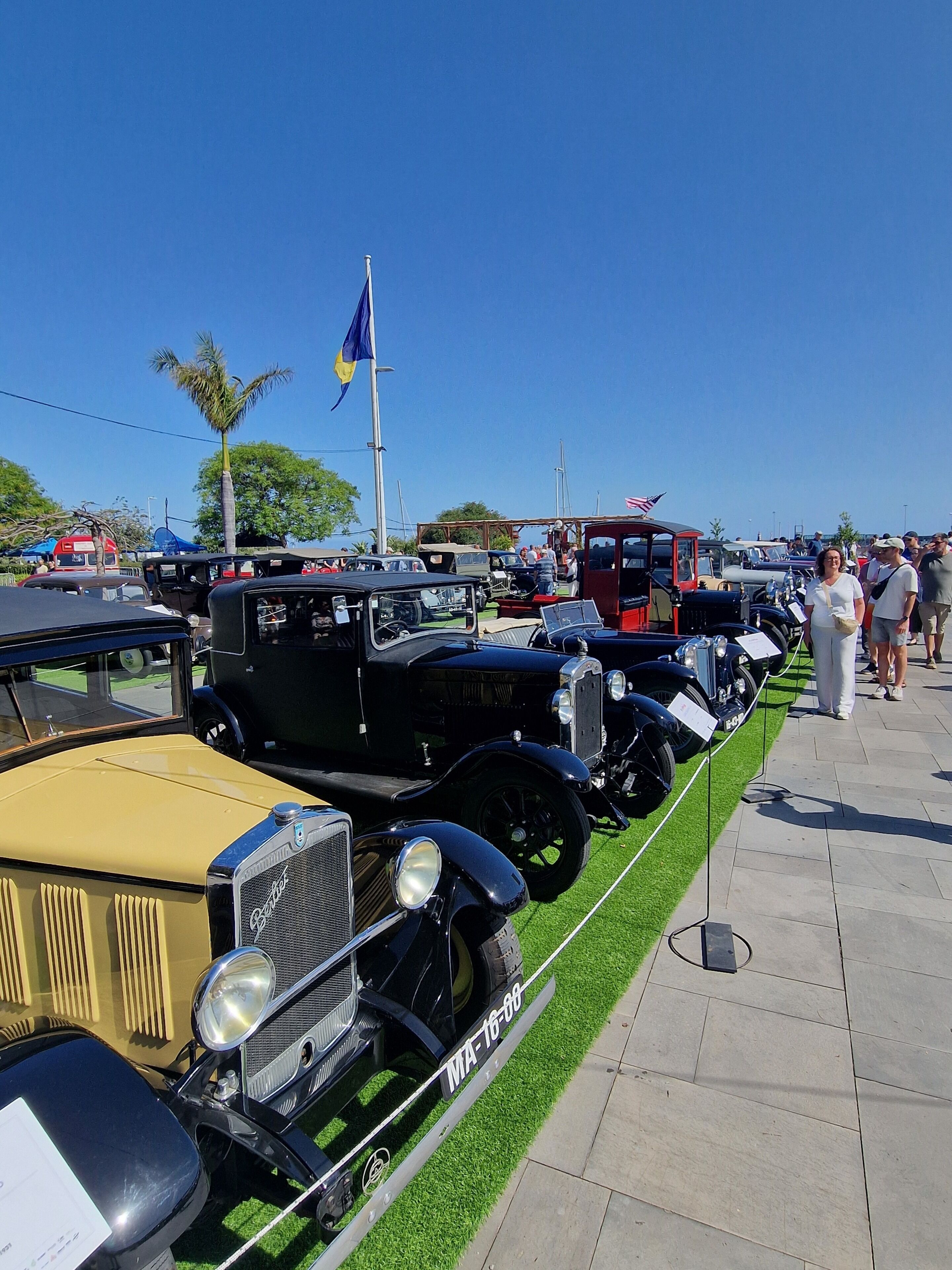 Carros antigos expostos em um evento ao ar livre.