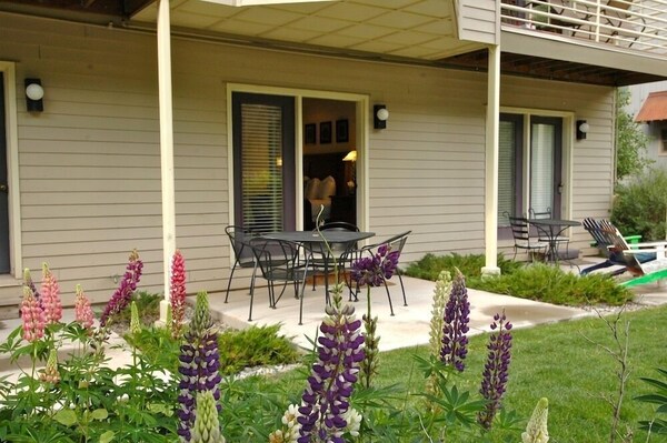 Telluride Ski Resort Co - Viking Lodge Condos - Telluride, CO