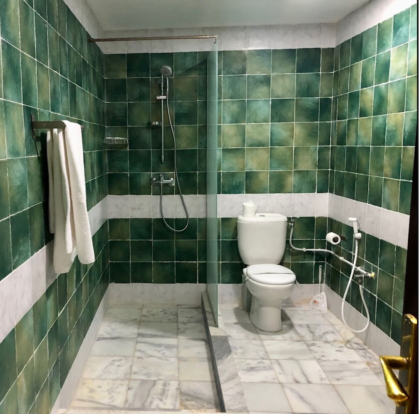 Casa de banho com azulejos verdes, sanita branca, chuveiro e porta-toalhas.