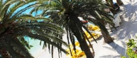 Apartamento (Apartment 7) | Praia