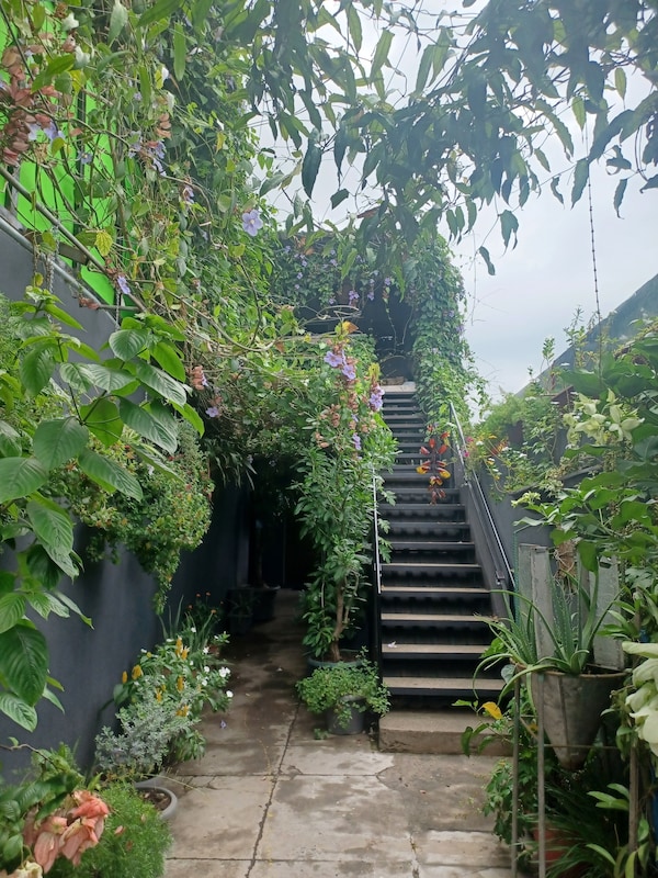 Charly's Place - San Salvador