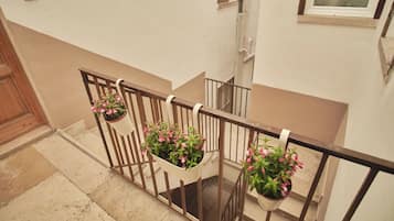 Entrada (vista interior)