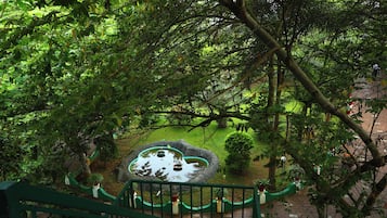 Vista para o jardim
