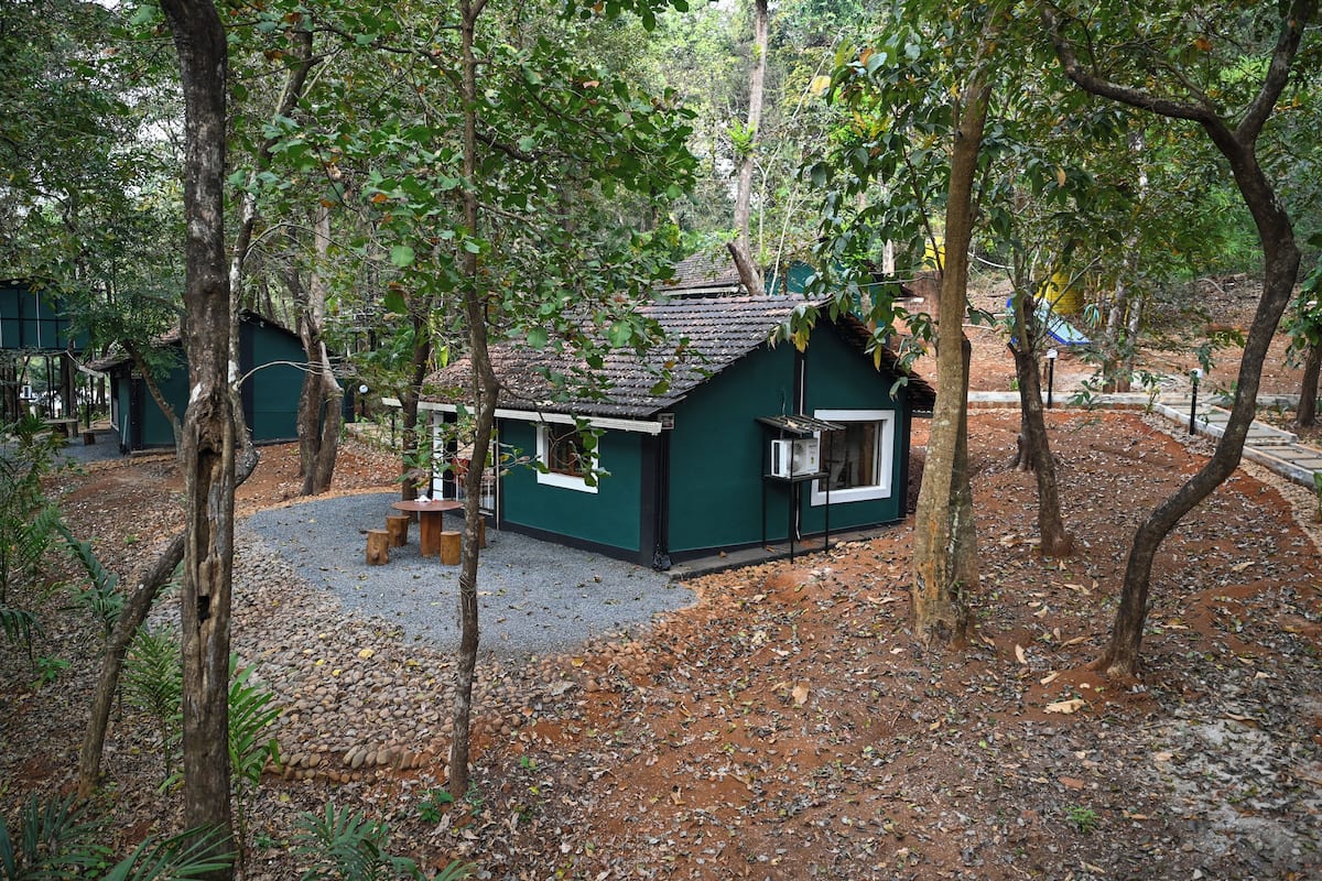 Uma pequena cabana verde com telhado de telhas, rodeada por árvores e um caminho de cascalho.