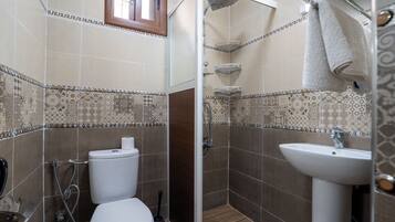 Casa de banho com sanita, lavatório, chuveiro e azulejos estampados.