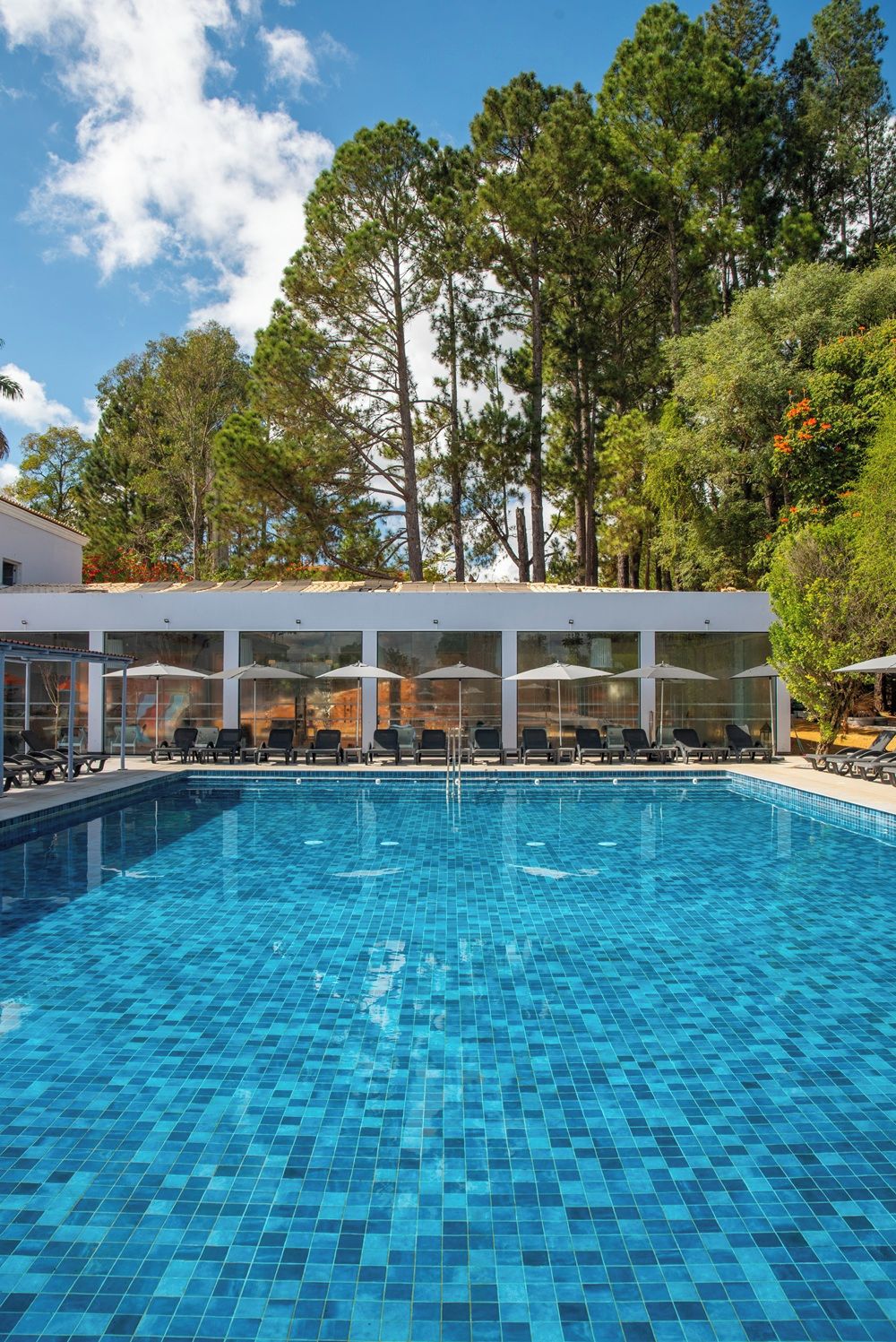 Piscina com água azul cristalina, rodeada por espreguiçadeiras e guarda-sóis, com árvores ao fundo.