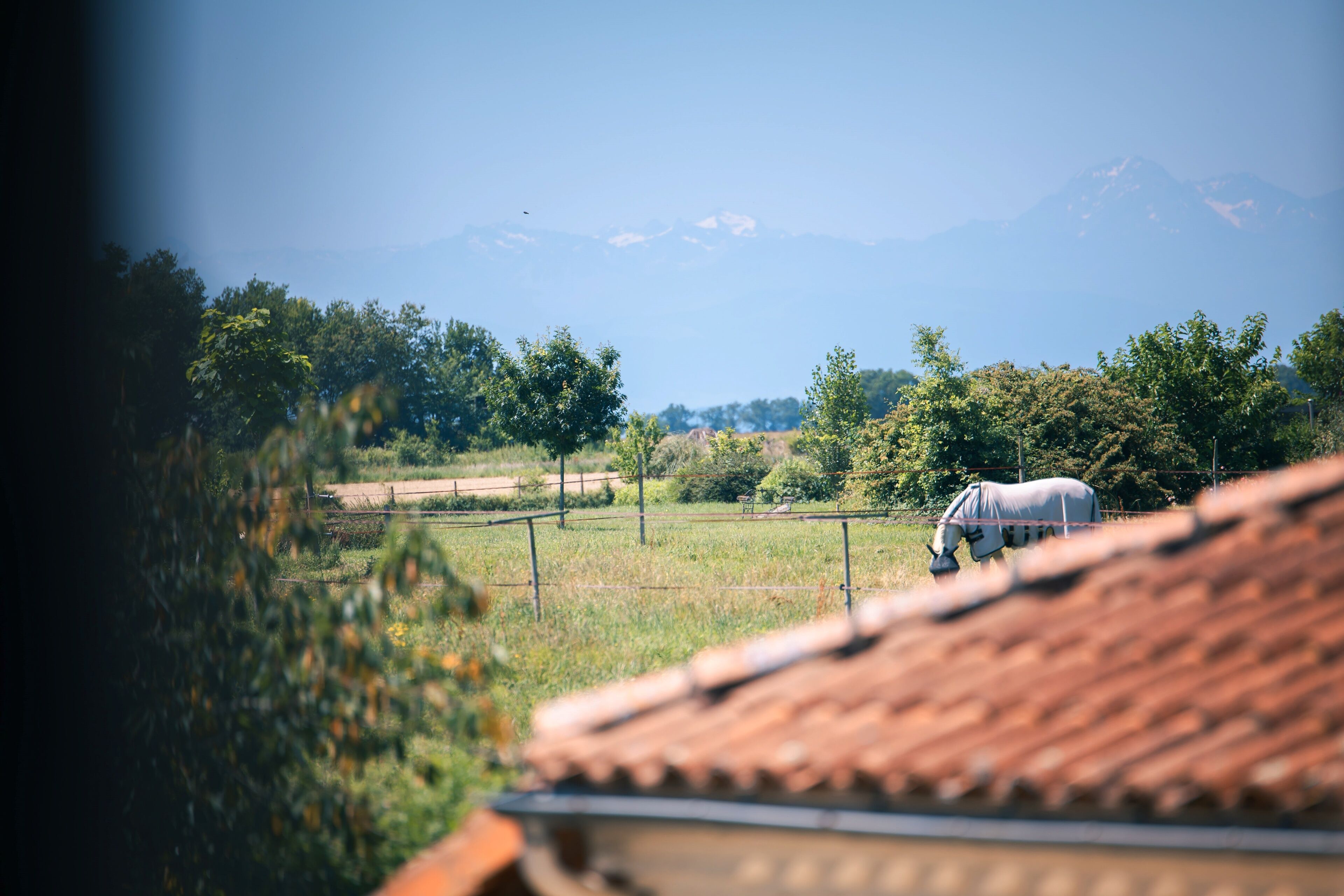 Paisagem rural com um cavalo em um campo, uma cordilheira ao fundo e um edifício com telhado de cerâmica em primeiro plano.