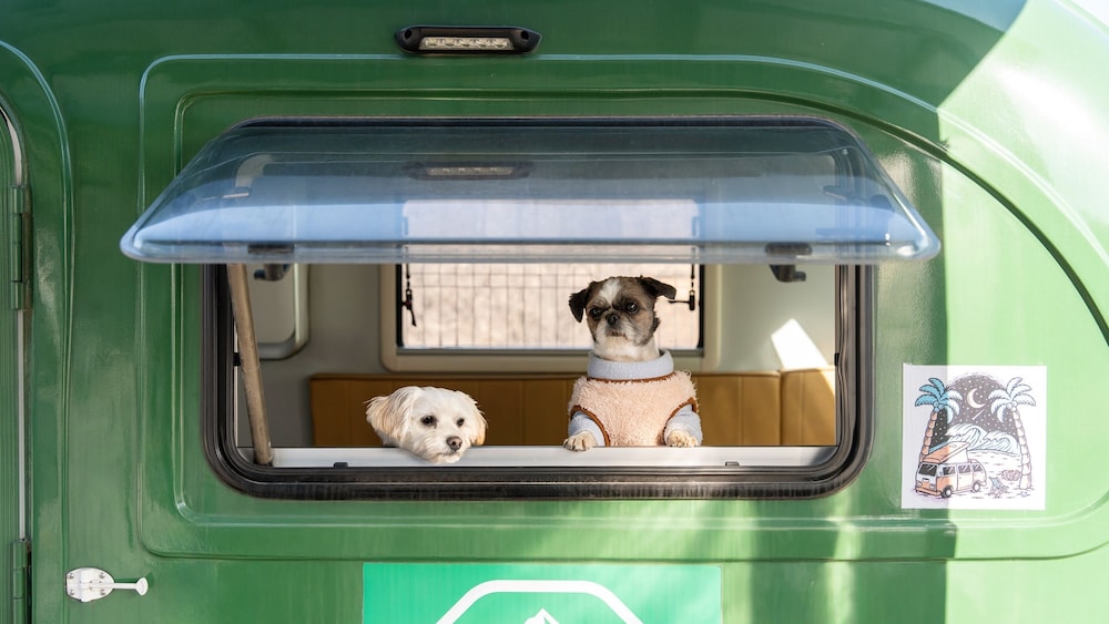 Yangyang Lira Camp - Pyeongchang-gun
