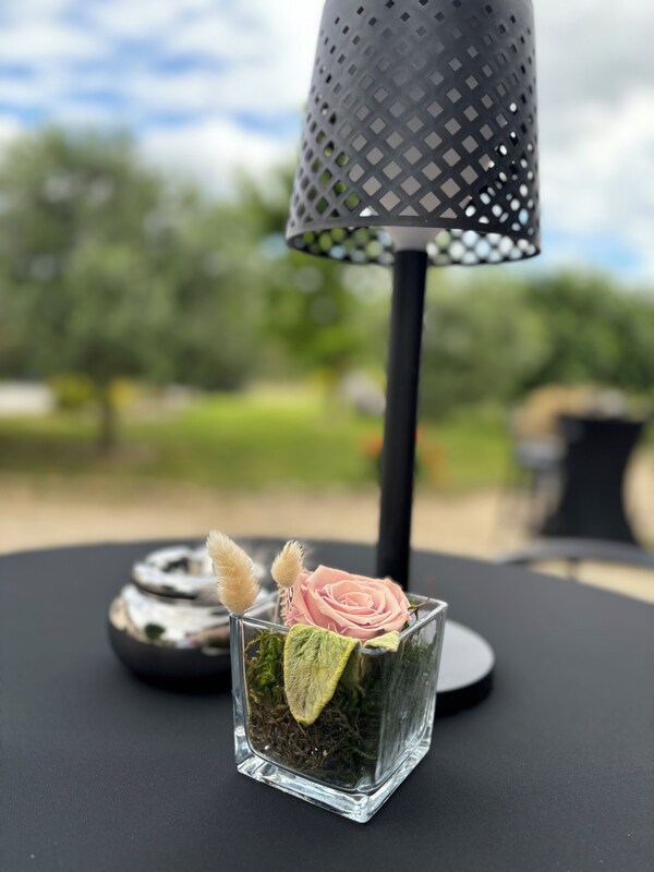 Le Domaine De Darvoy - Loiret