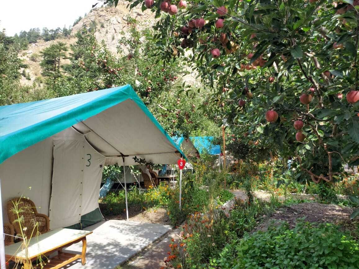 Uma tenda com telhado verde, uma cadeira e uma mesa lá fora.