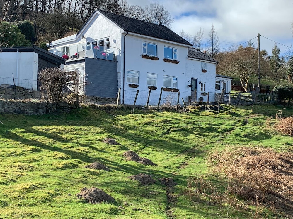 Broombush - Kerry