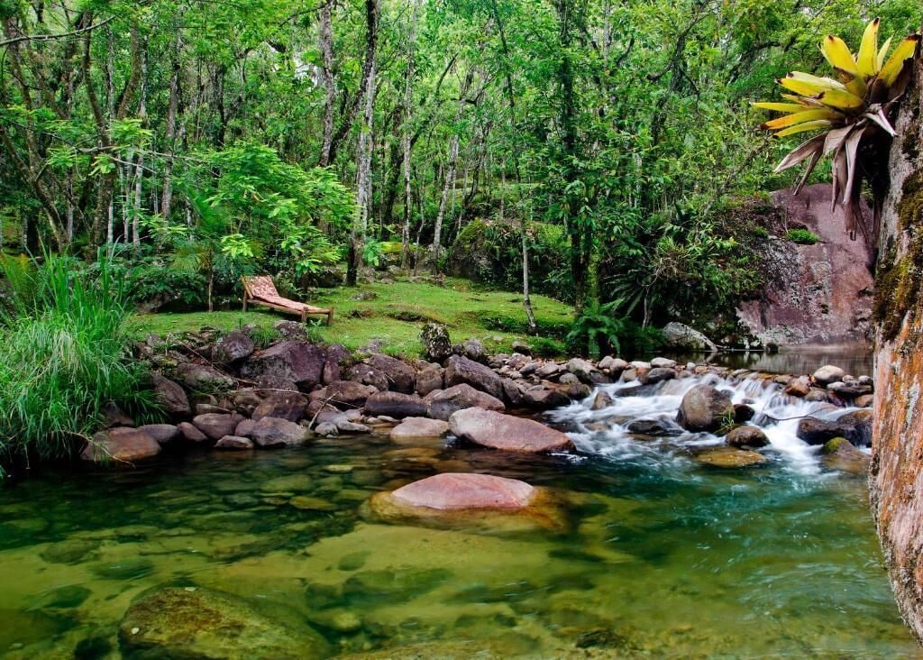 Ambiente natural ao ar livre com um riacho límpido, pedras e vegetação exuberante.
