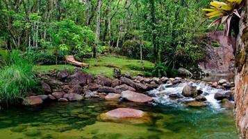 Ambiente natural ao ar livre com um riacho límpido, pedras e vegetação exuberante.